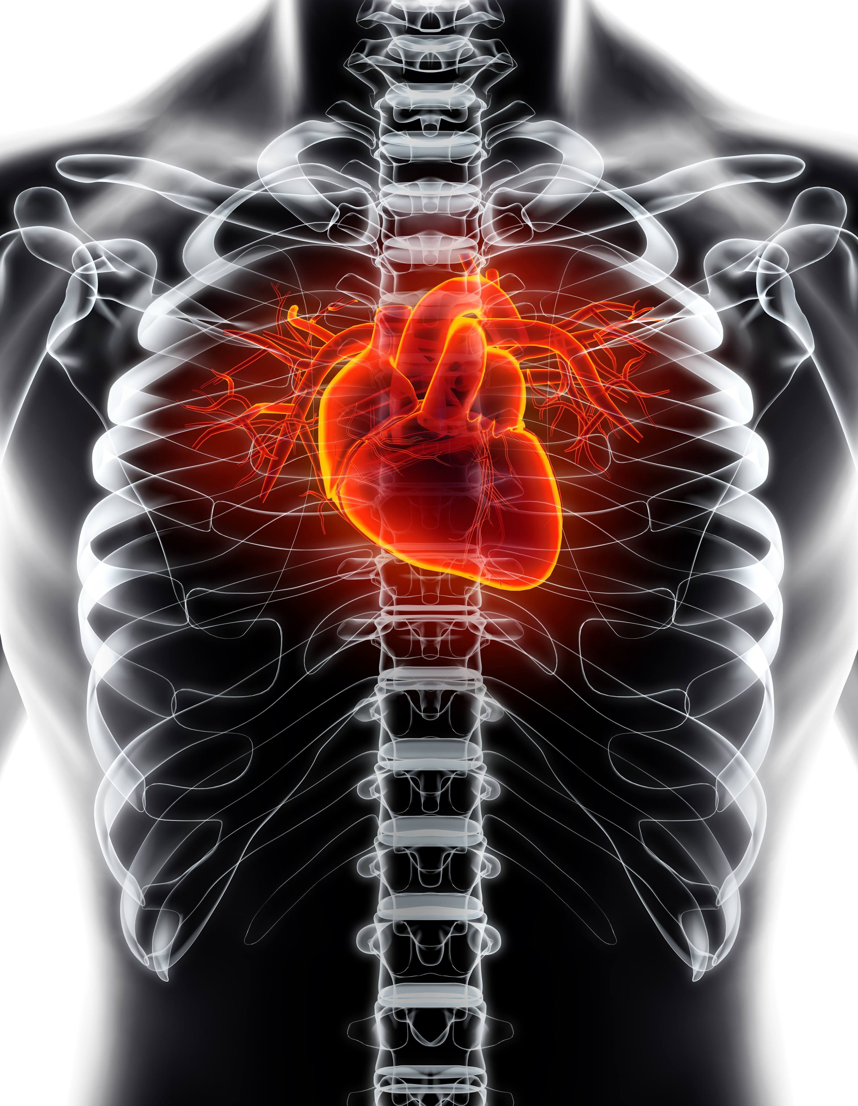 Interpreting electrocardiograms in primary care | EWS | REWIND | RCGP Learning